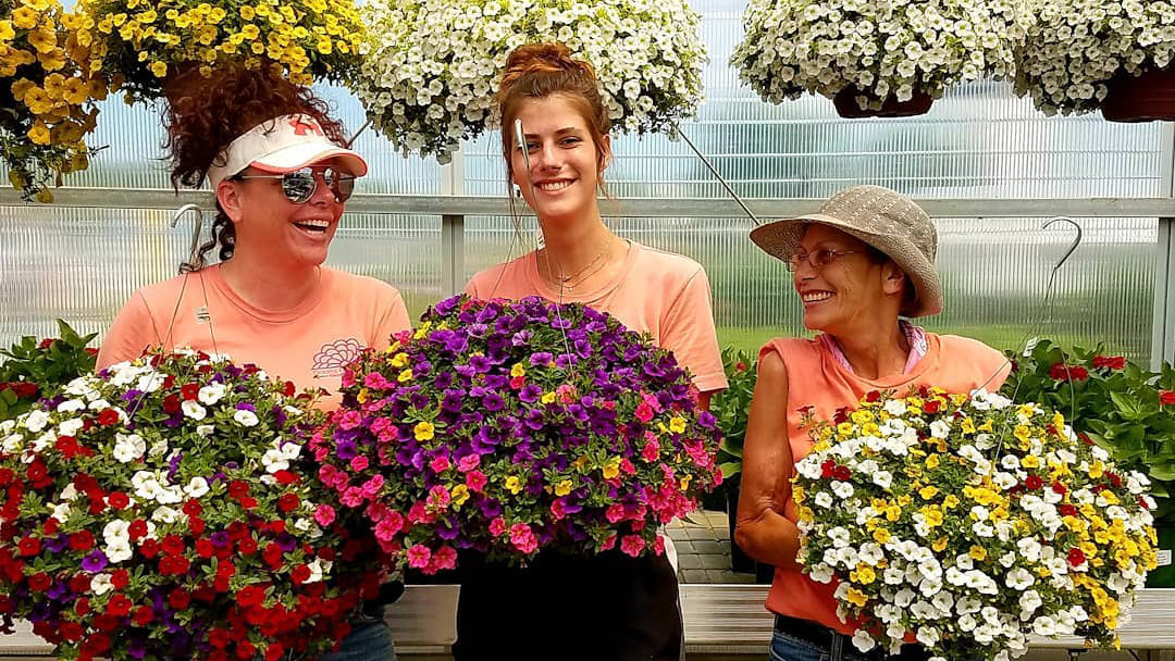 We're Hiring! – Blooms Greenhouse Grower Outlet