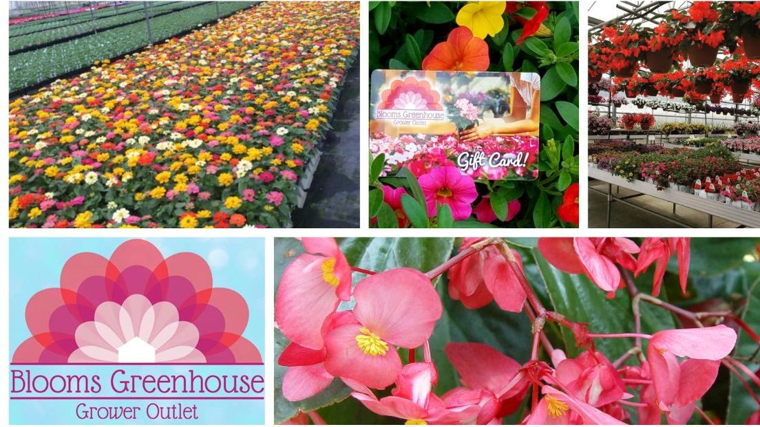 Guide for Convenient Gardening – Blooms Greenhouse Grower Outlet